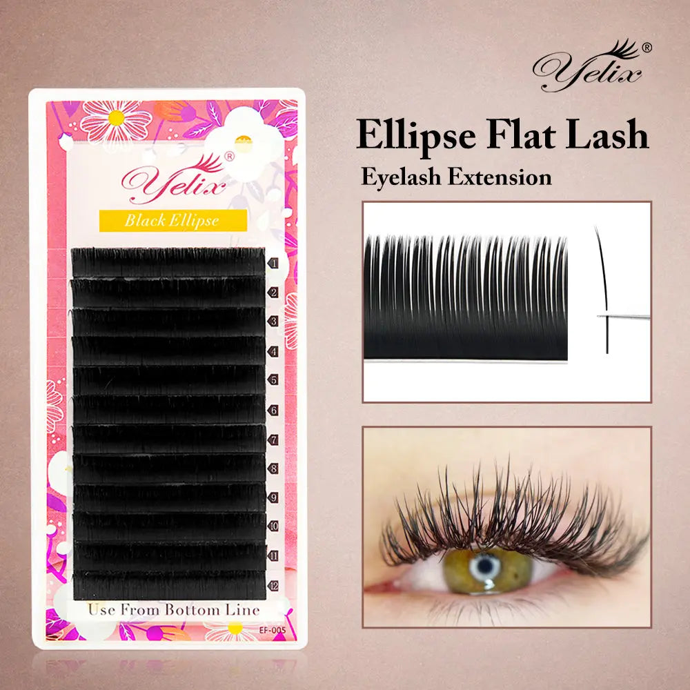 Shop Flat Ellipse lash at yelixlash | yelixlash